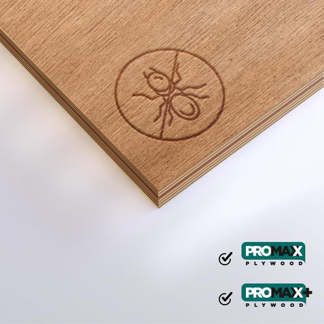 Termite Proof Plywood: Termite Resistant and Borer Proof Plywood